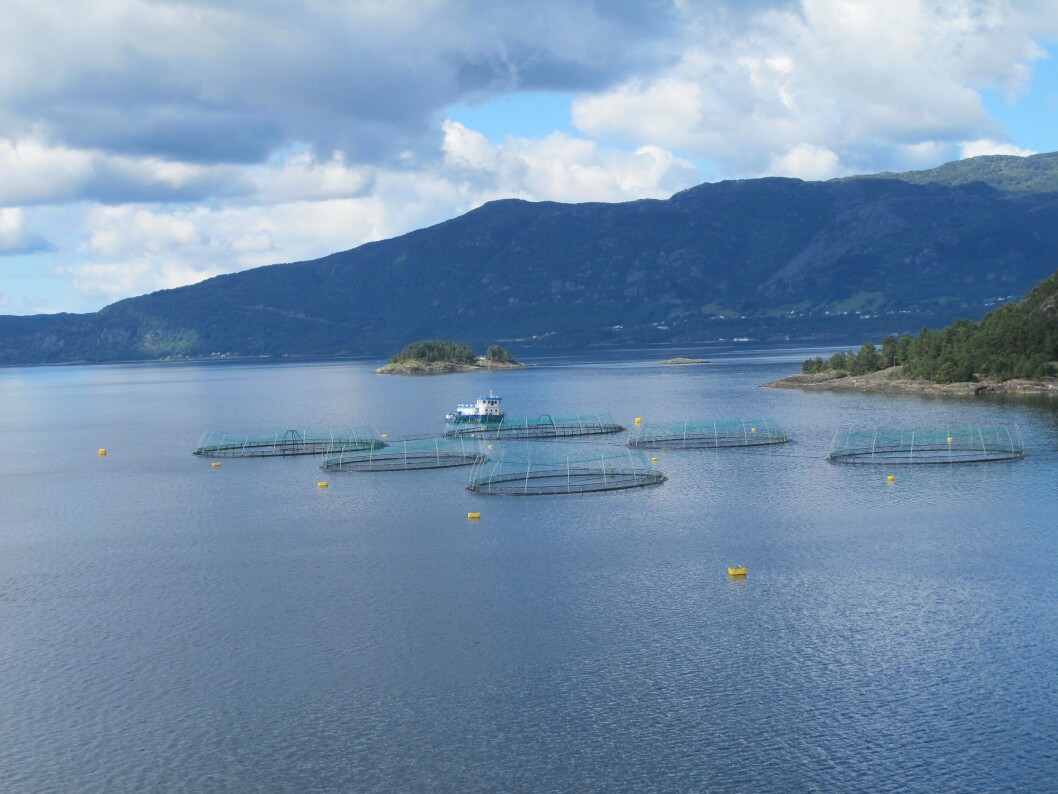 Alsaker Fjordbruk vil auke MTB